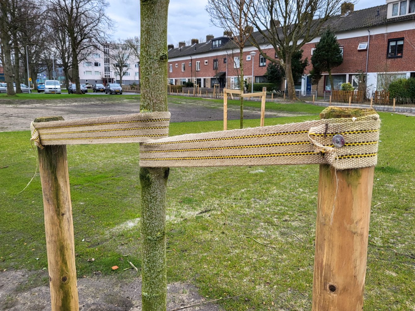 Jute tree tie - NPI - Nederlandse Plastic Industrie