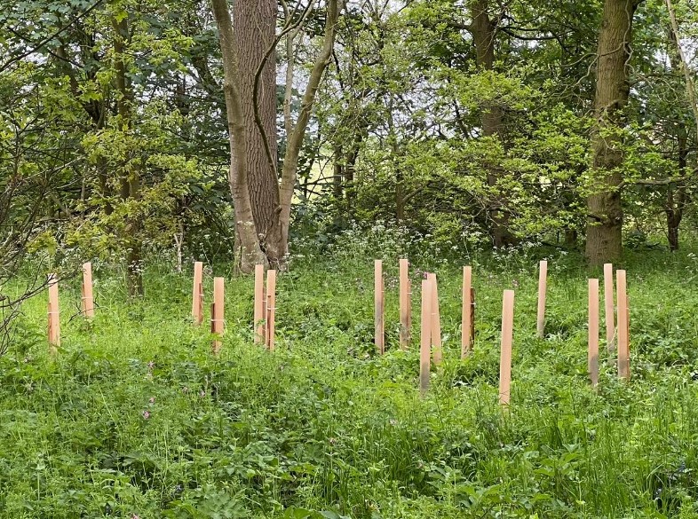 NEW: ArboShield 100% BIO tree guards - NPI - Nederlandse Plastic Industrie